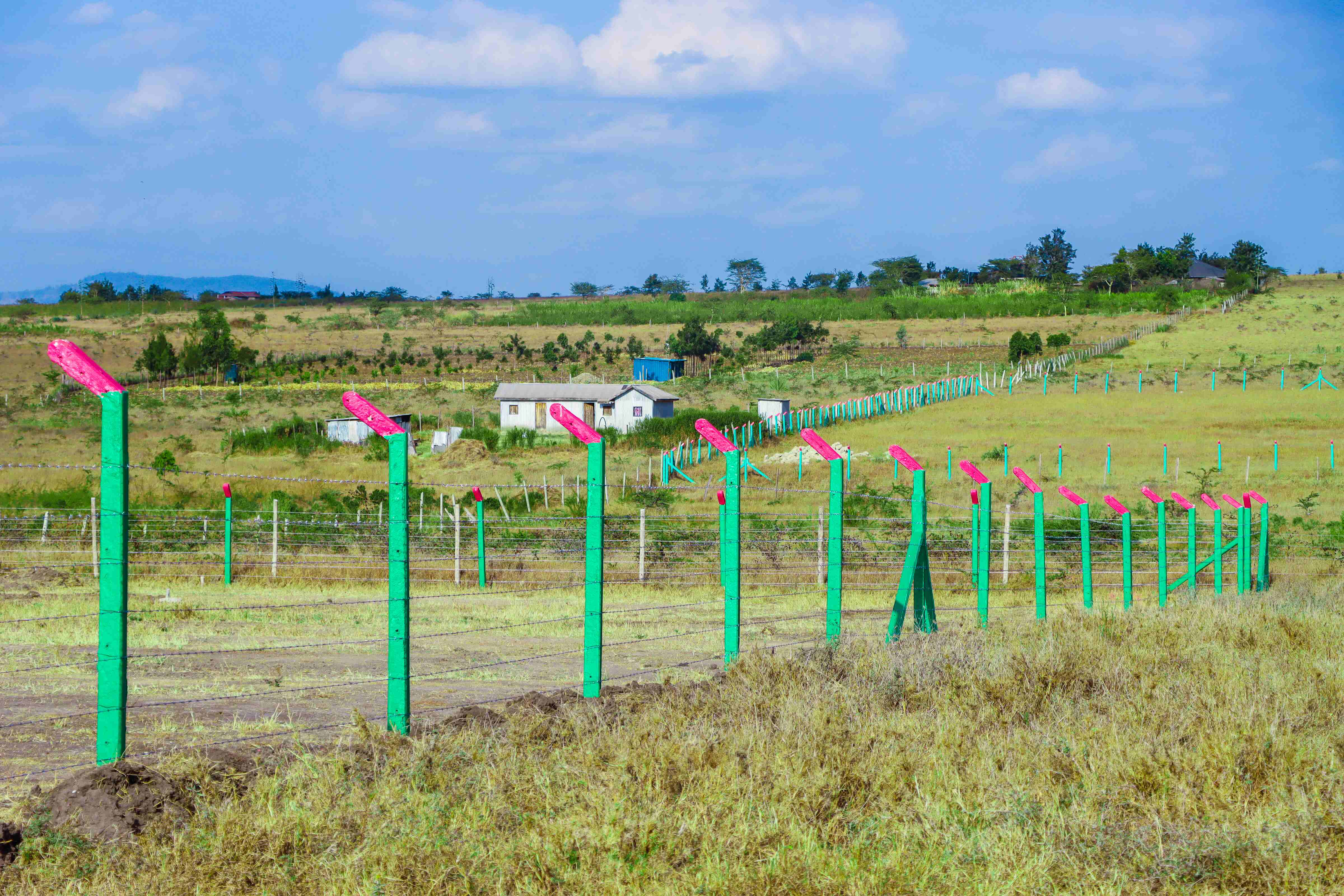 Welcome to Topcare Lands Investment Limited